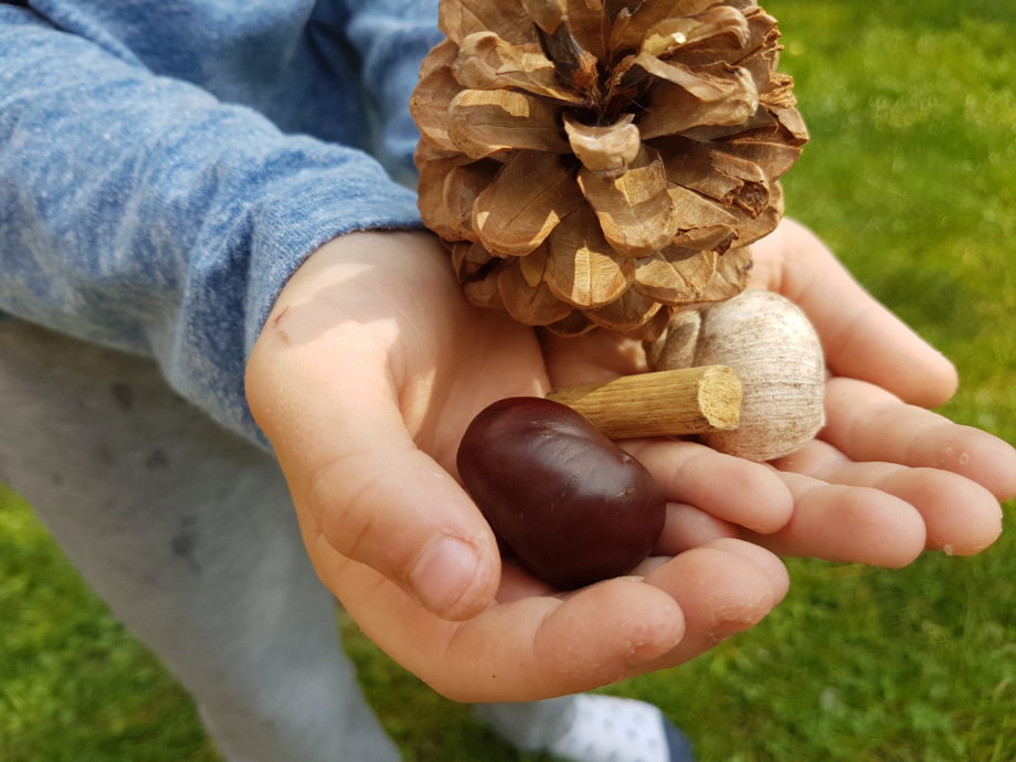 Spielerisch den Wald erkunden mit dem Wald-Bingo (#Freebie ...
