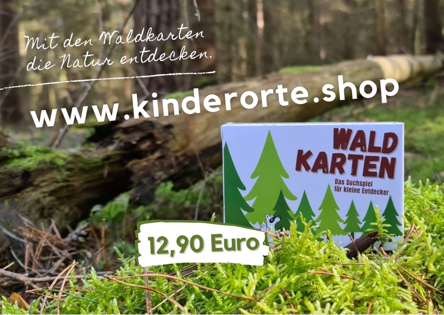 Spielerisch den Wald erkunden mit dem Wald-Bingo (#Freebie ...